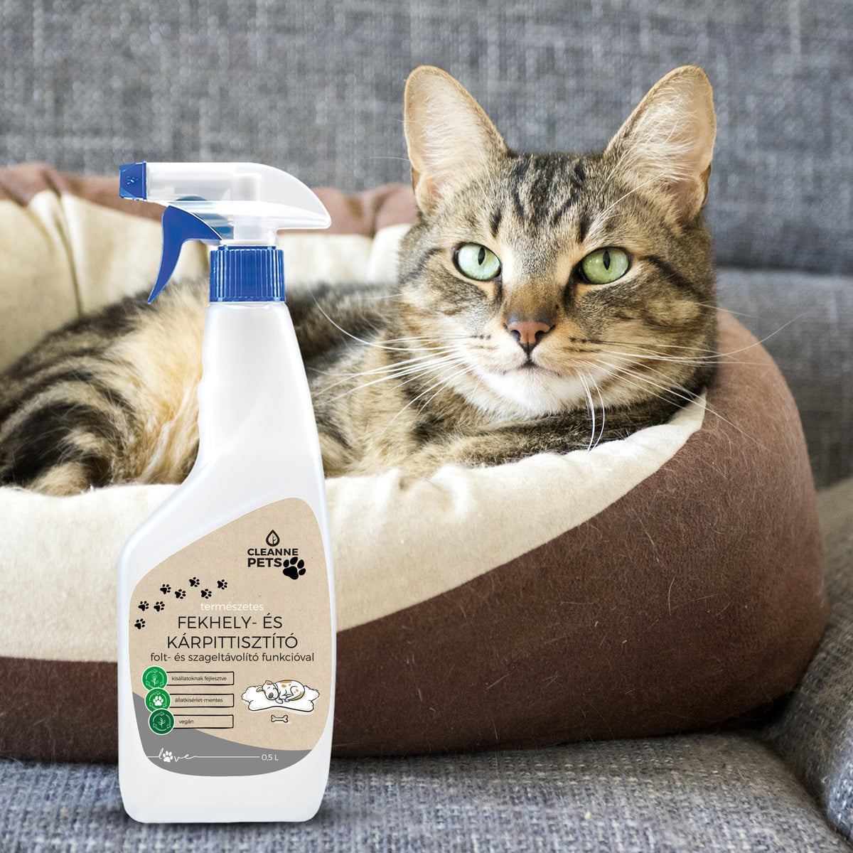 CLEANNE PETS- Fekhely- és kárpittisztító – CLEANNE CrystalClean